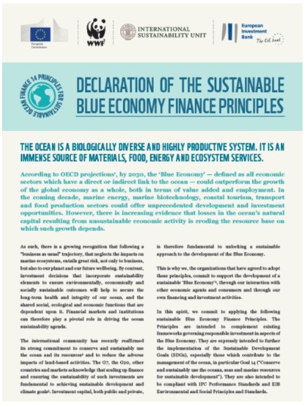 Pioneering global framework for sustainable ocean finance launched at ...