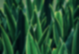 Principles for Responsible Banking – United Nations Environment ...