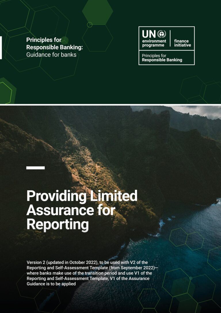 Guidance on Reporting and Providing Limited Assurance – United Nations ...