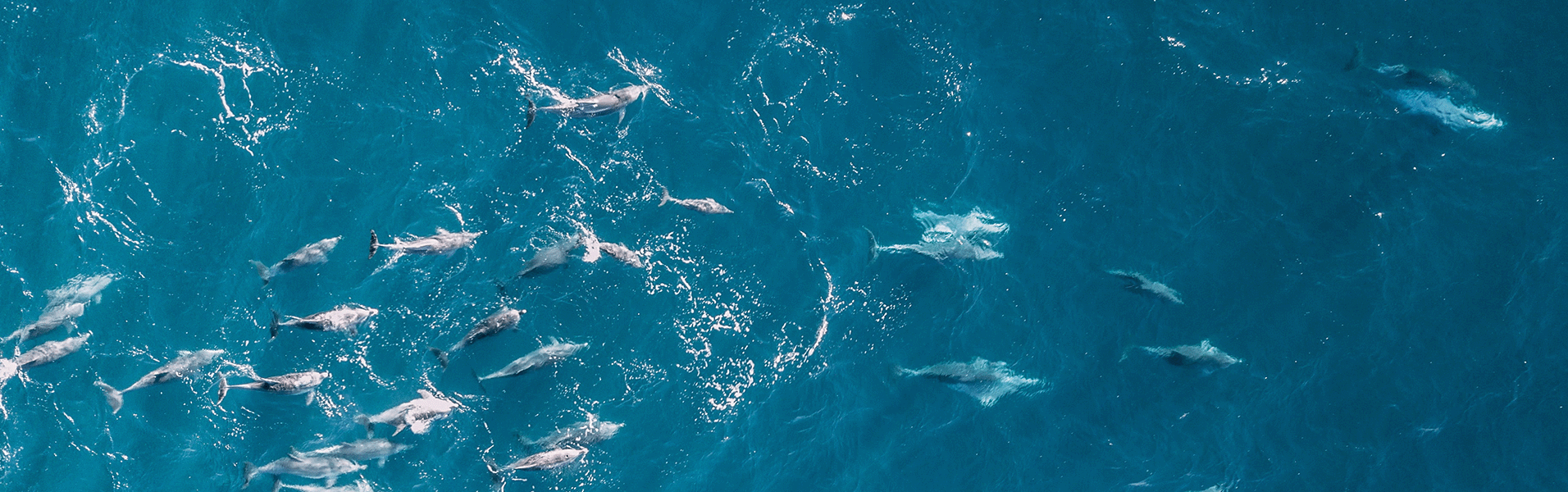 UNEP FI joins international coalition to develop guidance on blue bonds ...