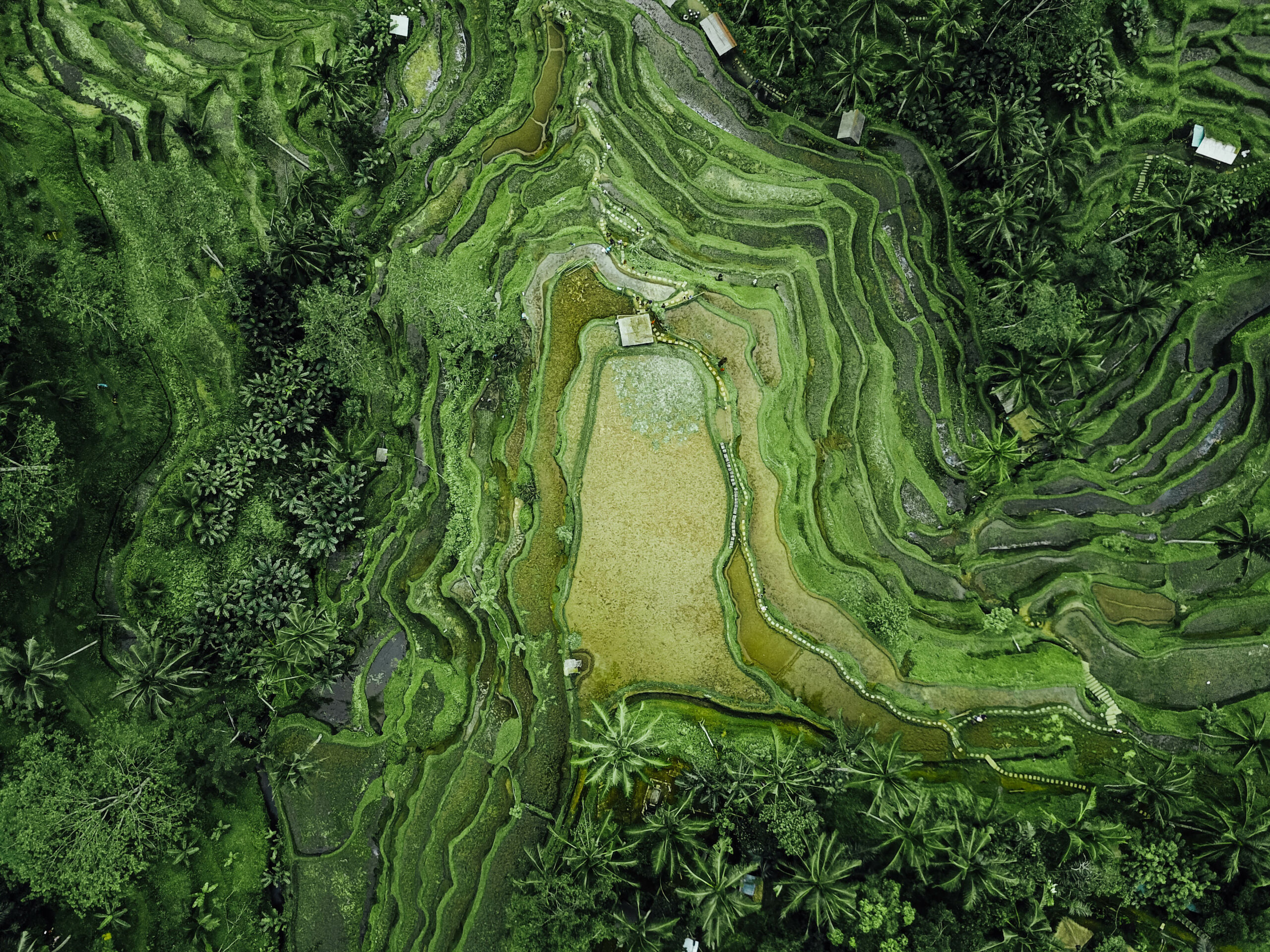 Principles for Responsible Banking Academy – United Nations Environment ...