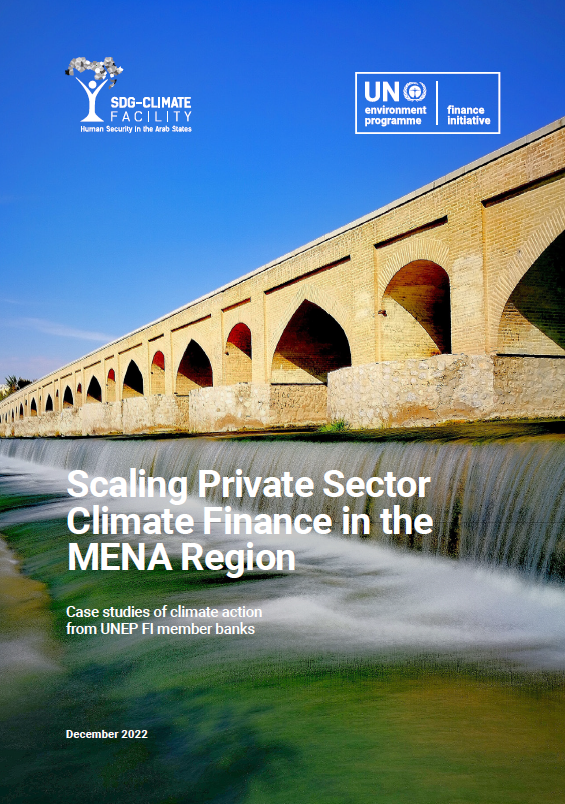 Scaling Private Sector Climate Finance in the MENA Region – United ...