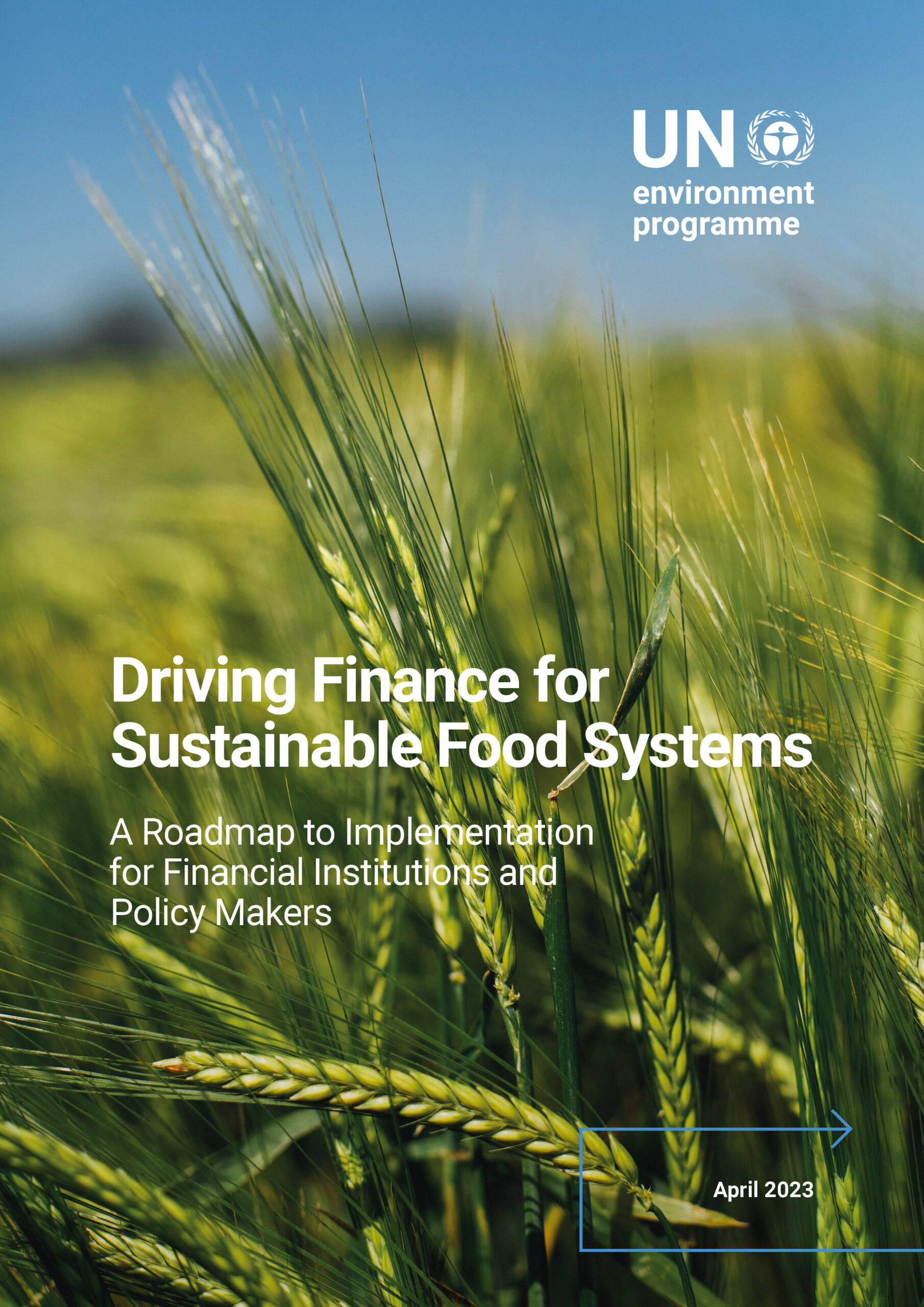 Driving Finance for Sustainable Food Systems: A Roadmap to ...