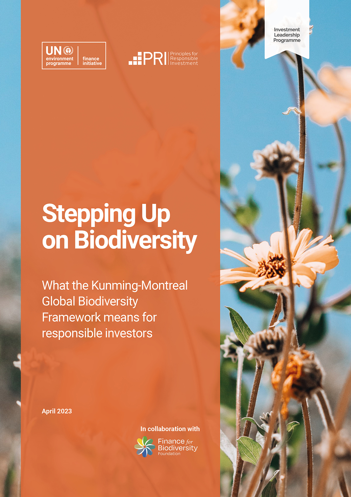 Stepping Up on Biodiversity: What the Kunming‑Montreal Global ...