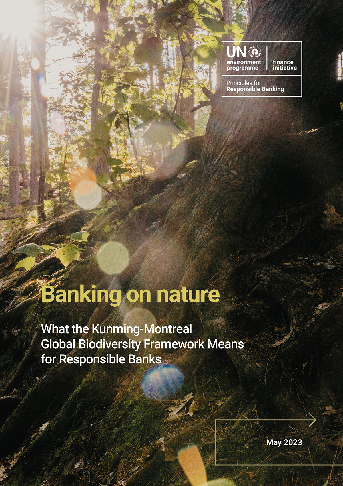 Banking on nature: What the Kunming-Montreal Global Biodiversity ...