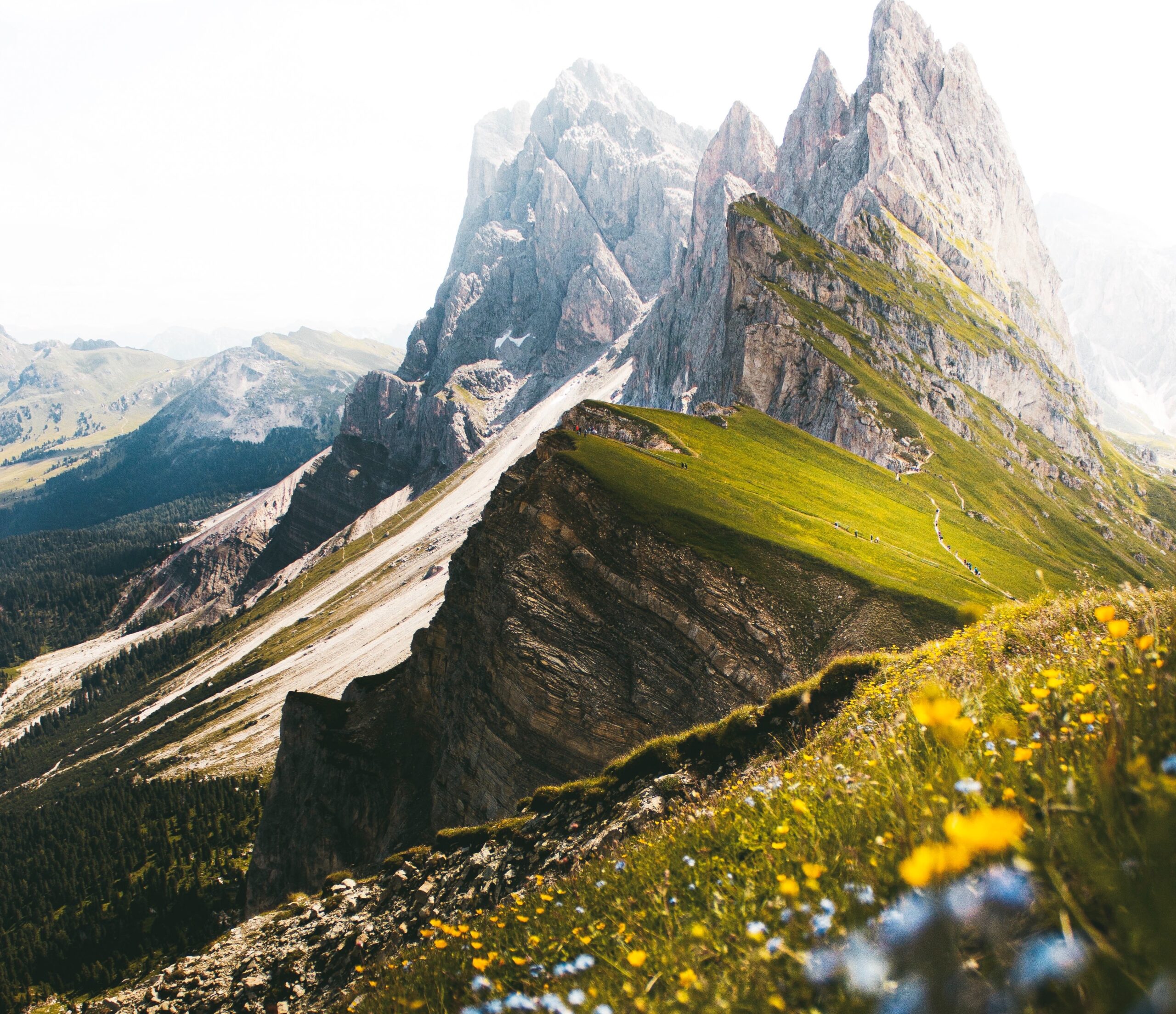 Investing with Nature: Looking forward – Scaling investments in nature ...