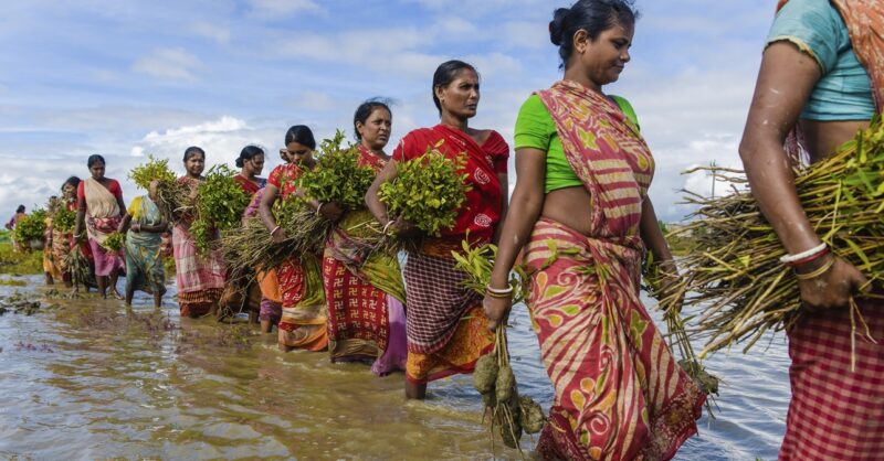 Just Transition Finance: Pathways for Banking and Insurance – United Nations Environment ...