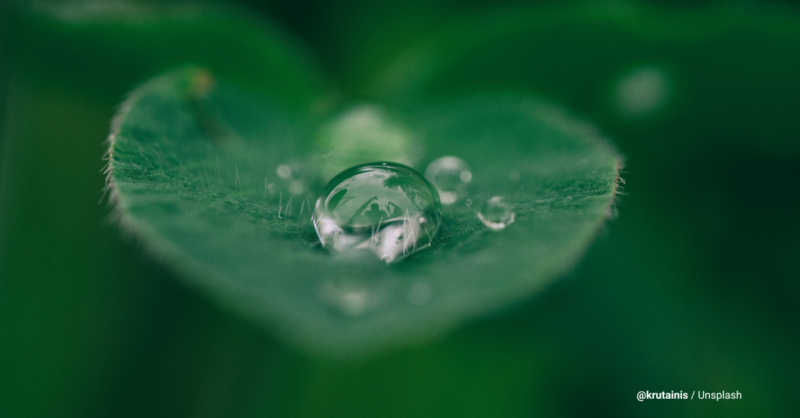 New Risk Centre to help UNEP FI members address sustainability risks ...