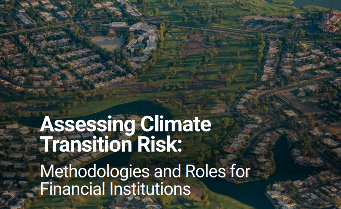 Assessing climate transition risk: methodologies and roles for ...