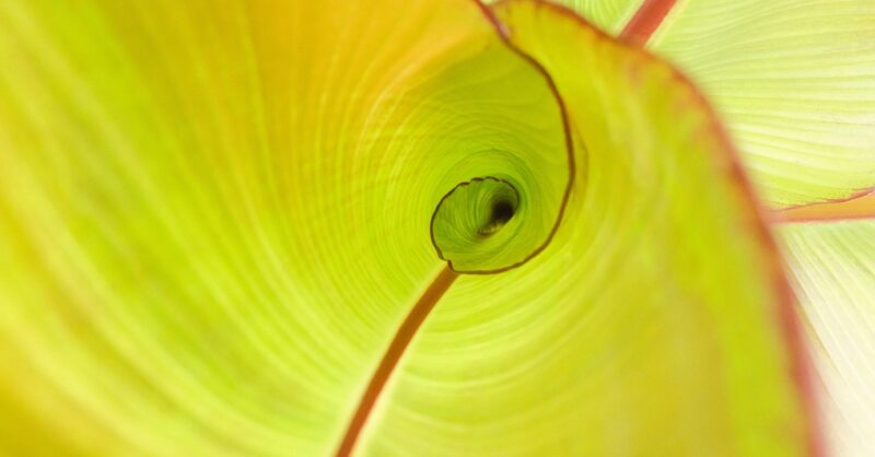 UNEP FI Circular Economy Community of Practice – United Nations ...