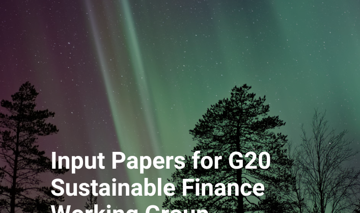G20 Recommendations: Advancing a Nature-Positive Economy and Just ...