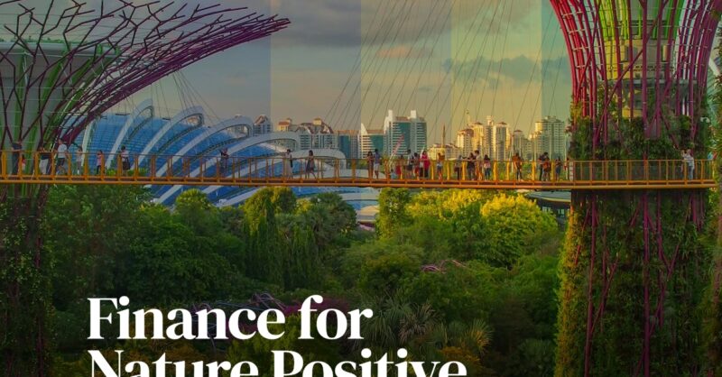 Finance for Nature Positive Discussion Paper – United Nations ...