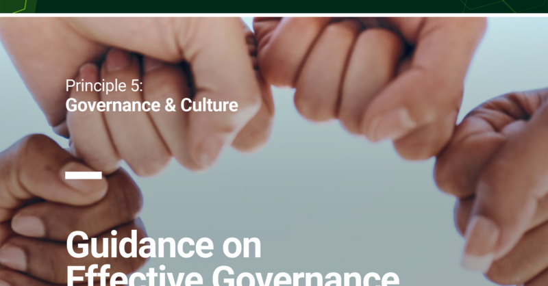 Guidance on Effective Governance – United Nations Environment – Finance ...
