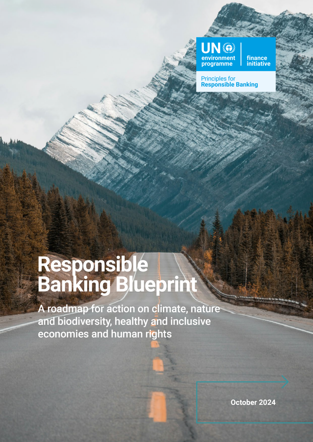 Banking on Sustainability: From Principles to Practice – Case studies ...