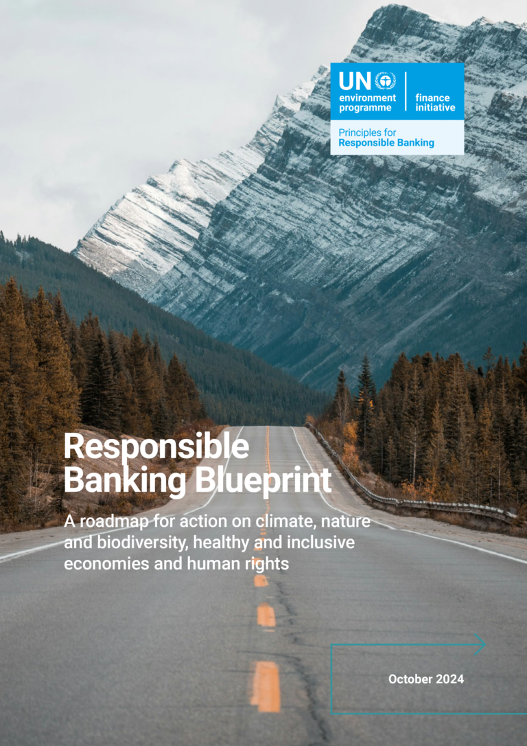 Banking on Sustainability: From Principles to Practice – Case studies ...