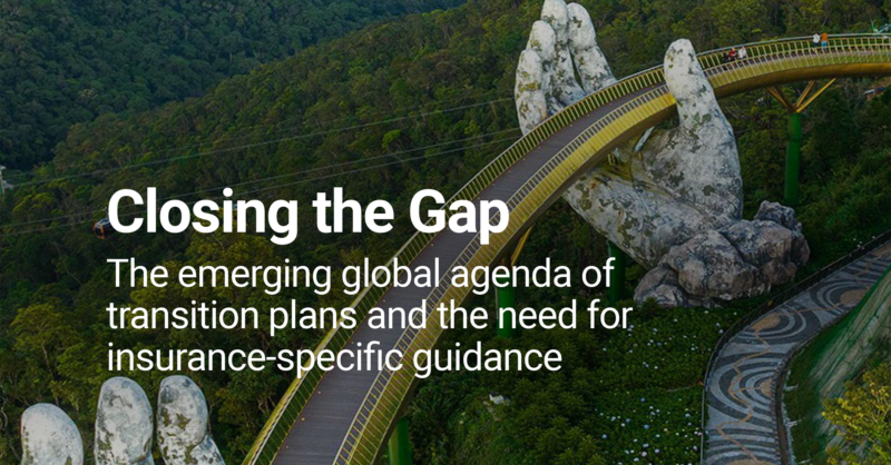 Closing the Gap: The emerging global agenda of transition plans and the ...