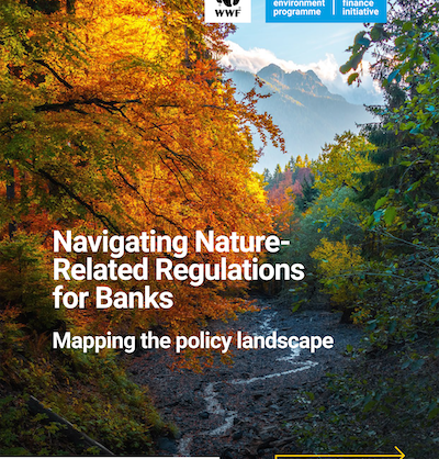 Navigating Nature-related Regulations for Banks: Mapping the Policy ...