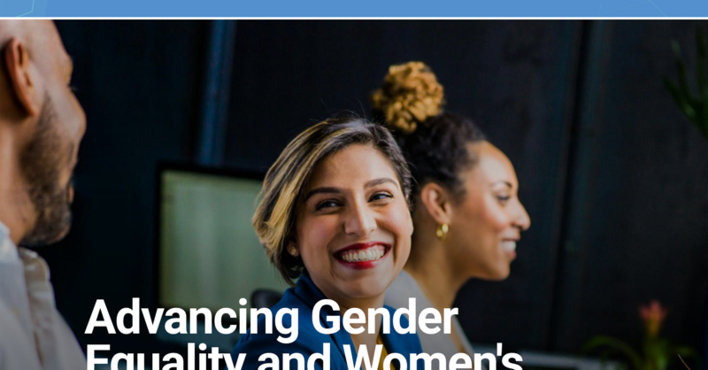 Advancing Gender Equality and Women’s Empowerment: Target Setting ...