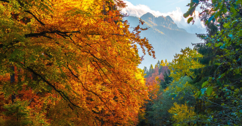 New report maps nature-related regulations for banks, finding rise in ...