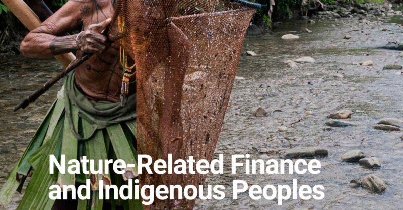 Nature-related finance and Indigenous Peoples: Advancing equity to halt ...