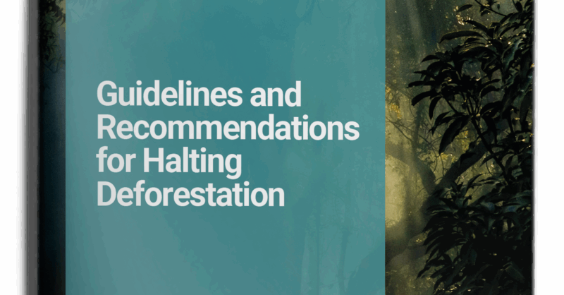 Guidelines and Recommendations for Halting Deforestation – United ...