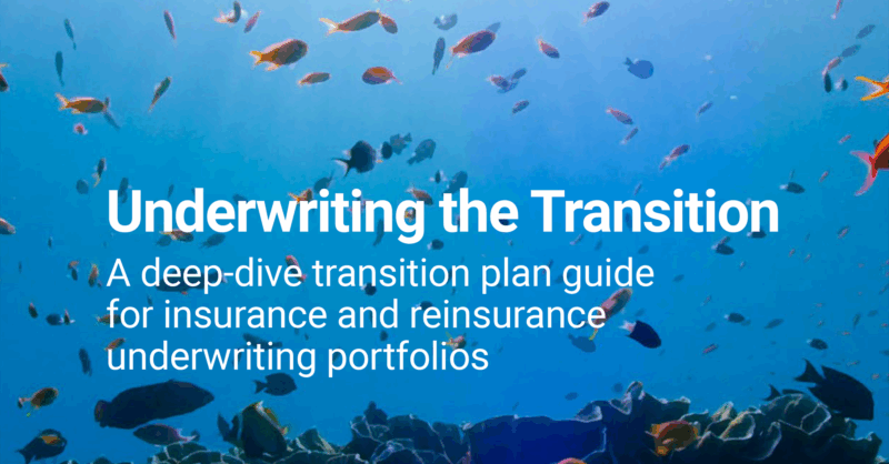 Underwriting the Transition: A deep-dive transition plan guide for ...