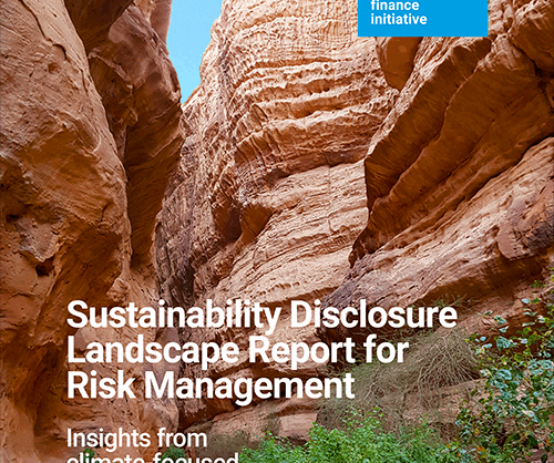 Sustainability Disclosure Landscape Report for Risk Management ...