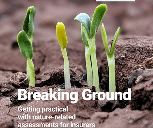 Breaking Ground: Getting practical with nature-related assessments for ...