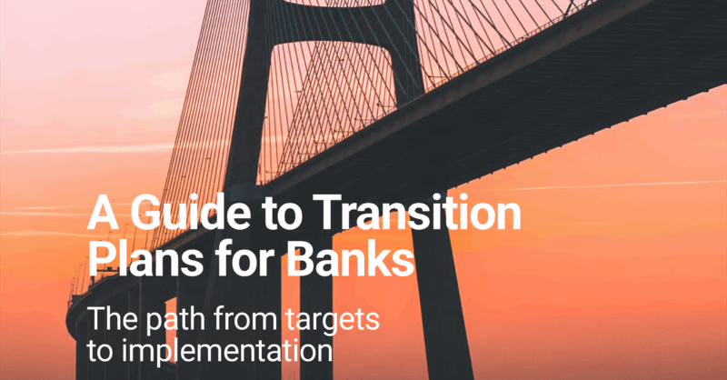 A Guide to Transition Plans for Banks: The path from targets to ...