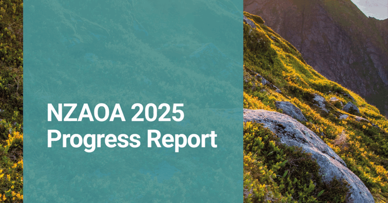 NZAOA 2025 Progress Report – United Nations Environment – Finance ...