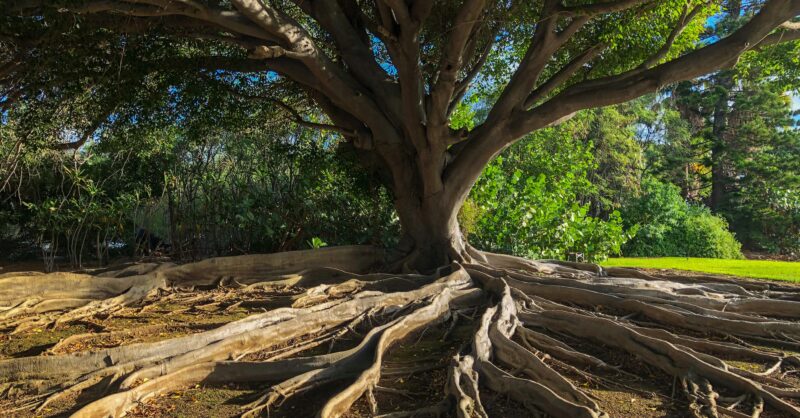 Nature Reporting Preparer Forum – United Nations Environment – Finance ...