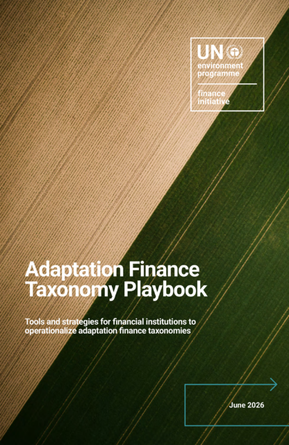 Adaptation Finance Taxonomy Playbook – United Nations Environment ...